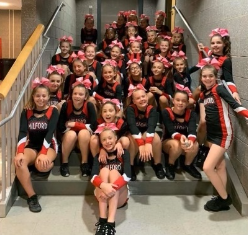 Milford Youth Football And Cheer : Powered by TeamLinkt