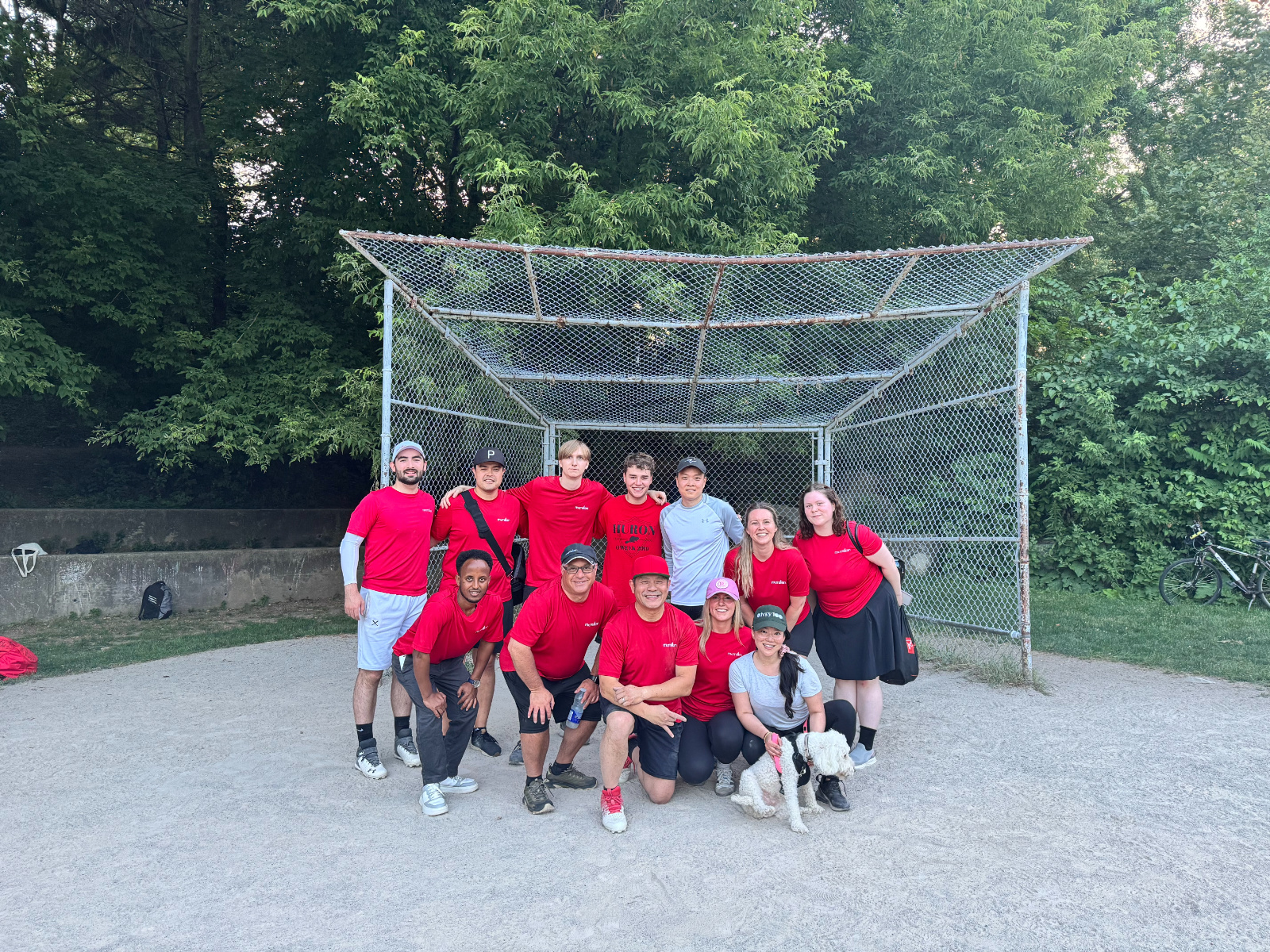 Toronto Legal Mixed Softball League : Powered by TeamLinkt