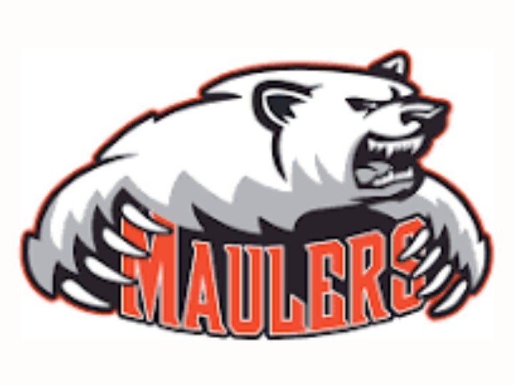 YMH : Powered by TeamLinkt