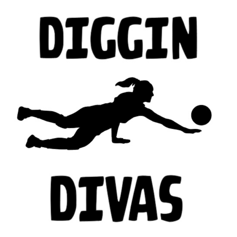 Paradise Volleyball League : Powered by TeamLinkt