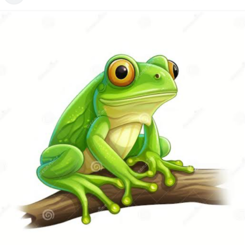 Semaphore Centrals Netball Club Incorporated : Powered by TeamLinkt