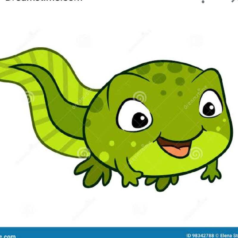 Semaphore Centrals Netball Club Incorporated : Powered by TeamLinkt