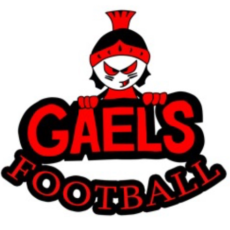 Cornwall Wildcats Football Club : Powered by TeamLinkt